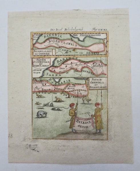 North Africa Biledulgerid Barbary Coast Animals Dragon 1719 decorative ...