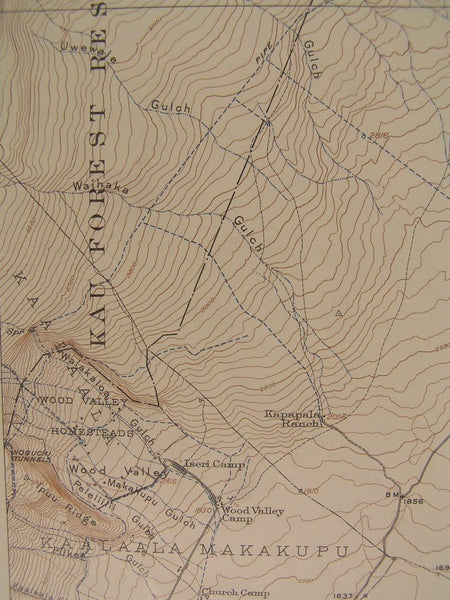 Kilauea Hawaii Kau Forest Reserve Lava Flows 1954 antique color lithog ...